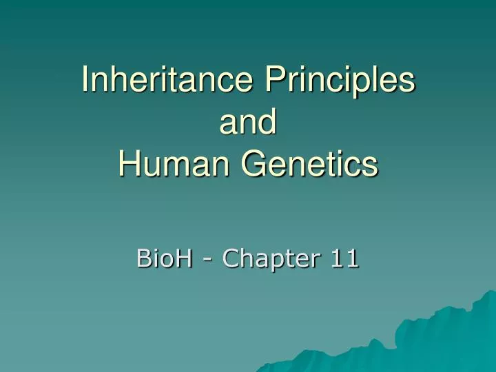 PPT - Inheritance Principles and Human Genetics PowerPoint Presentation ...