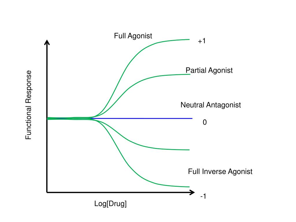 PPT - Drug Chemistry and Toxicology PowerPoint Presentation, free ...