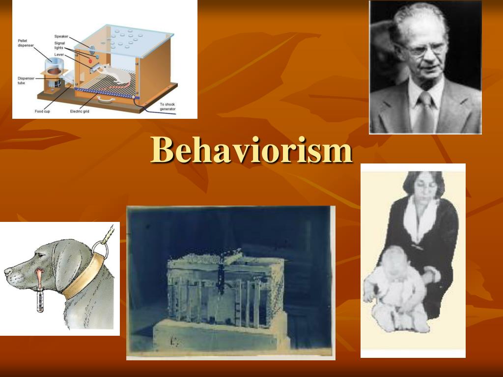 PPT - Major Perspectives of Psychology PowerPoint Presentation, free ...