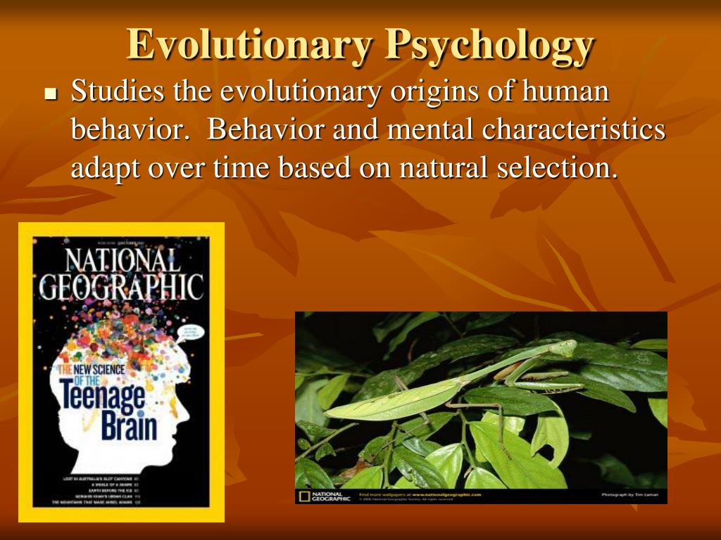 PPT - Major Perspectives of Psychology PowerPoint Presentation, free ...