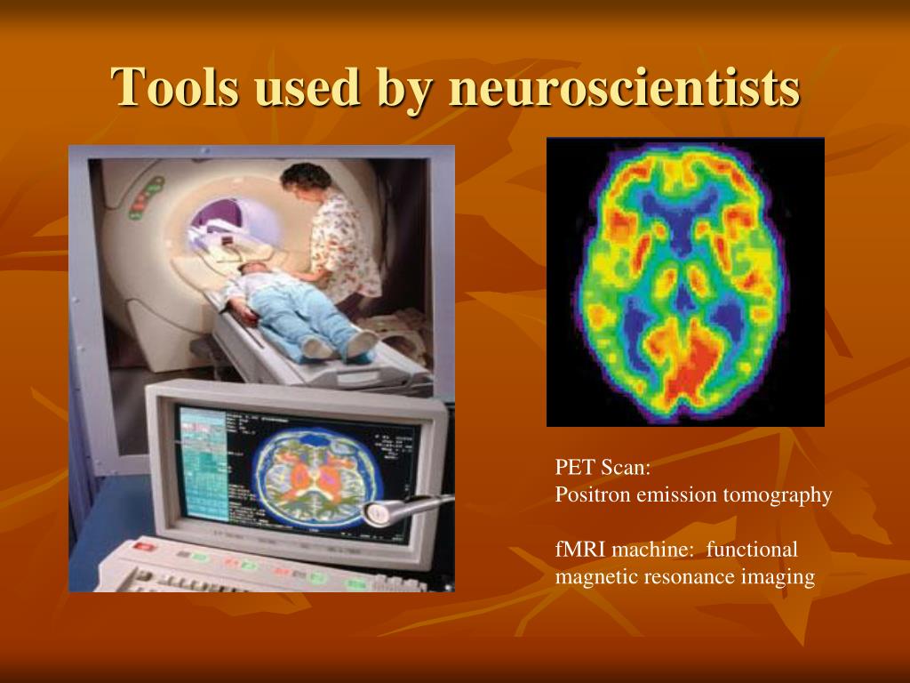 PPT - Major Perspectives of Psychology PowerPoint Presentation, free ...