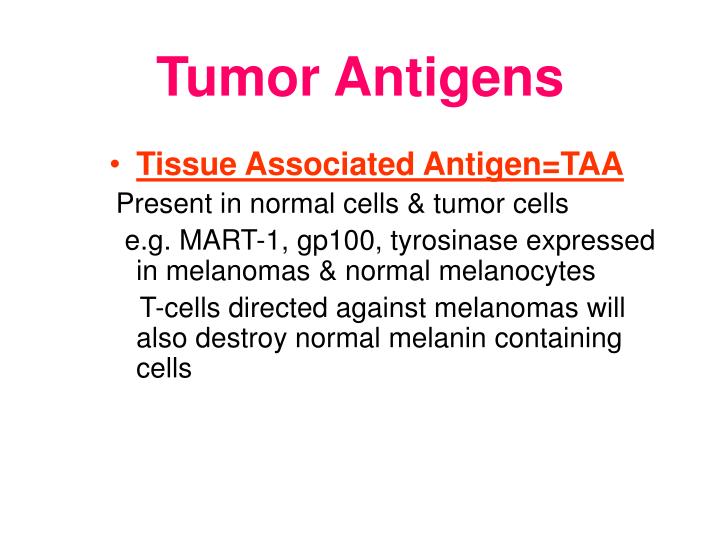 PPT - Host Defense Against Tumor Tumor Immunity PowerPoint Presentation ...