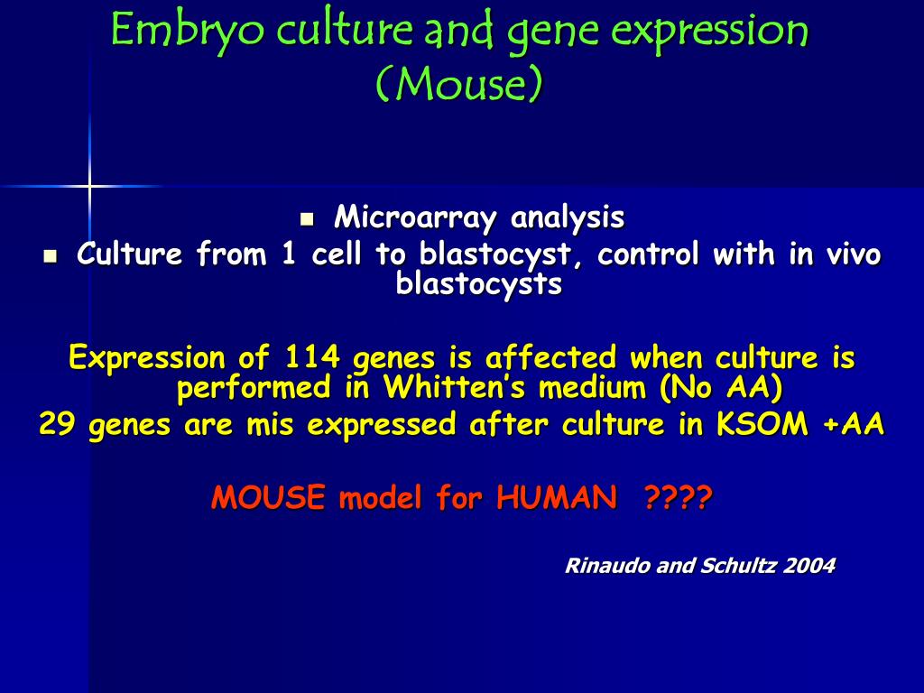 PPT - Early Embryogenesis Metabolism and Genes Imprinting PowerPoint ...