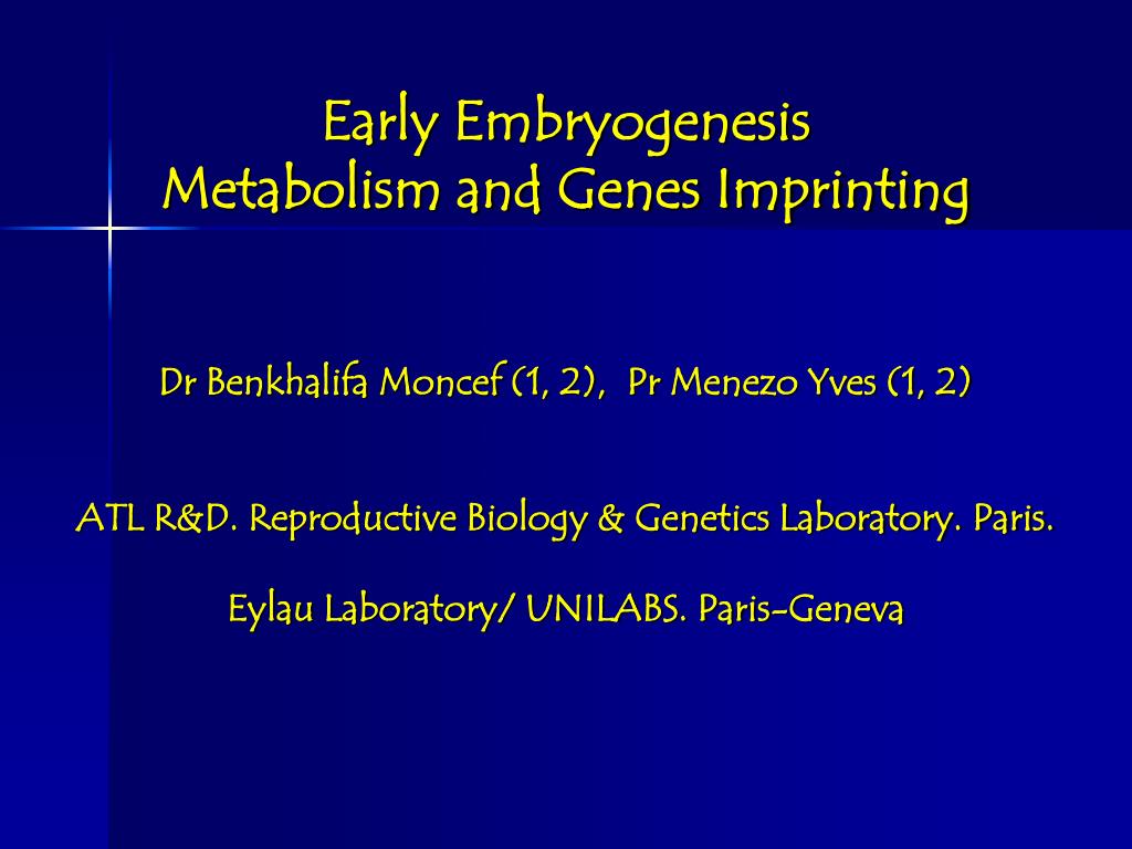 PPT - Early Embryogenesis Metabolism and Genes Imprinting PowerPoint ...