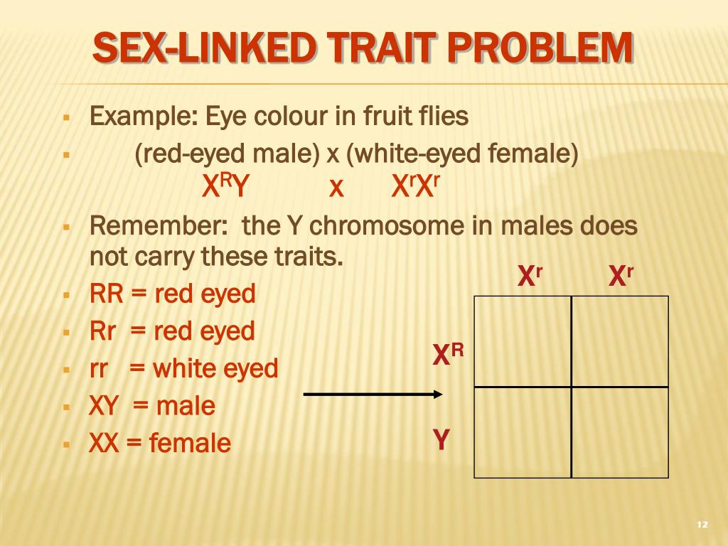 Ppt Incomplete Dominance And Codominance Powerpoint Presentation Free Download Id6011404