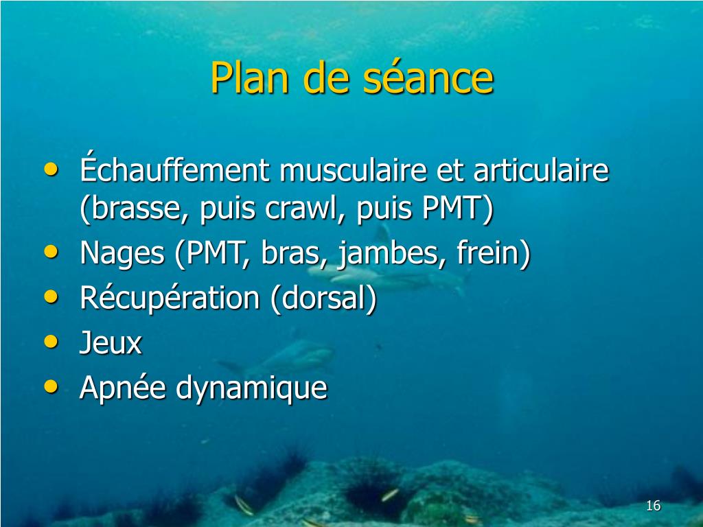 PPT - Entraînement physique des plongeurs N1 & N2 PowerPoint ...
