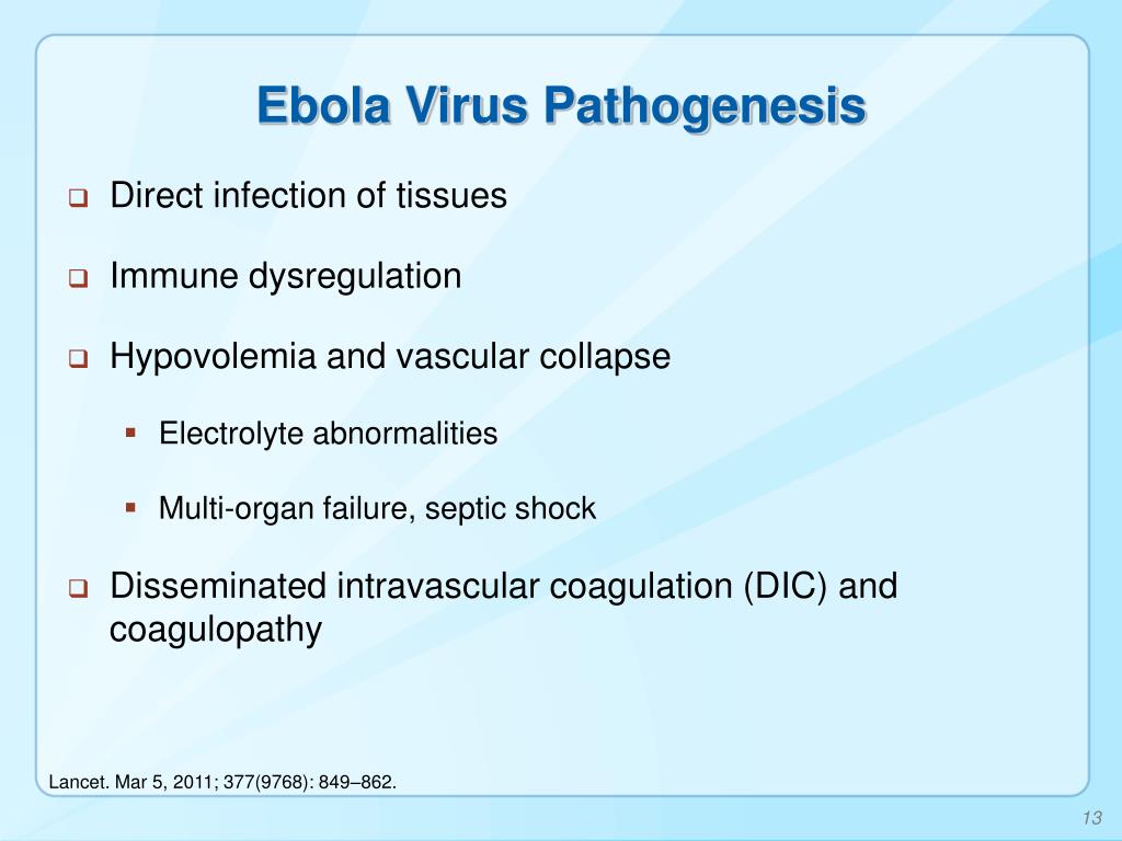 PPT - Ebola Virus Disease PowerPoint Presentation, free download - ID ...