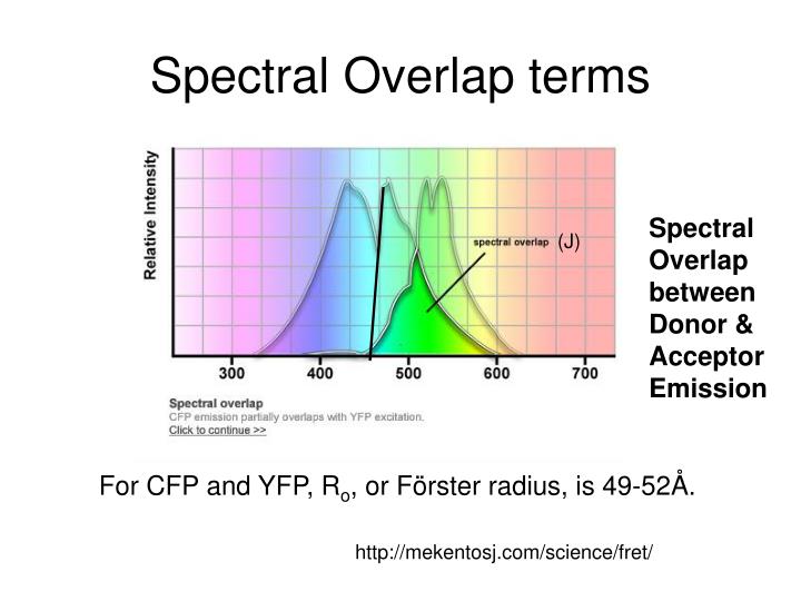 PPT - Individual Projects due today. Outline of rest of course April 9 ...