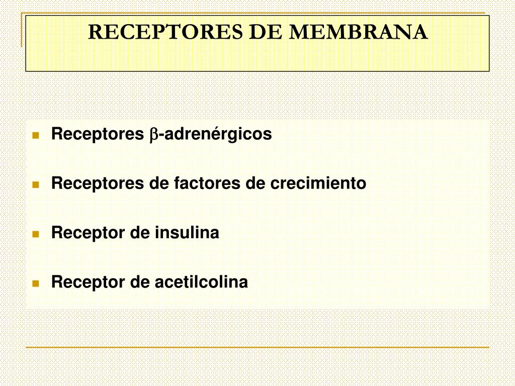 PPT - RECEPTORES Características generales. Localización. Mecanismo de ...