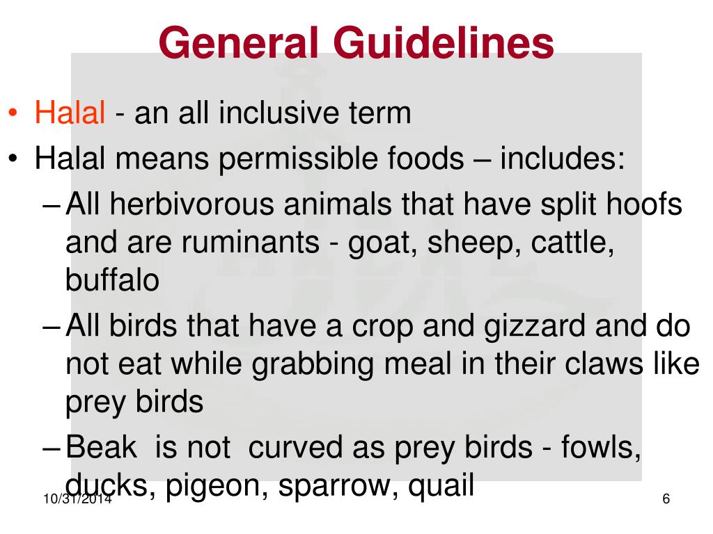 PPT - HALAL PRODUCTION REQUIREMENTS for Food Industry PowerPoint ...
