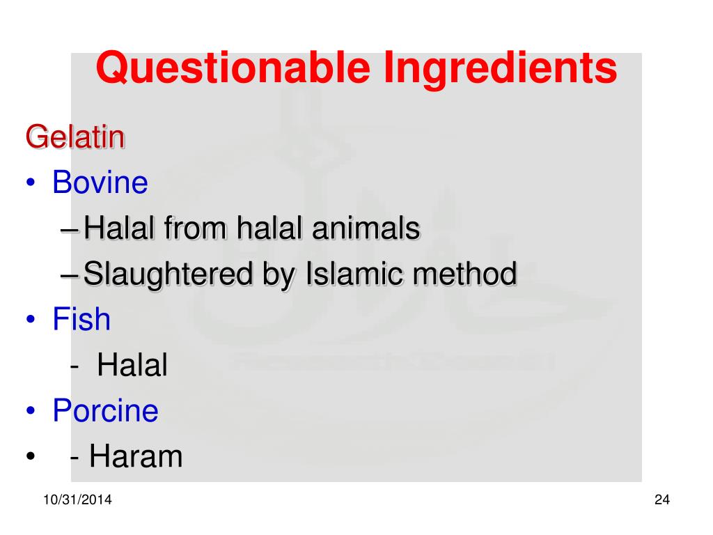 PPT - HALAL PRODUCTION REQUIREMENTS for Food Industry PowerPoint ...