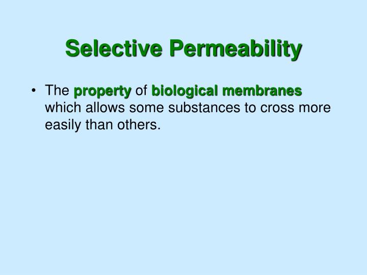 PPT - PLASMA MEMBRANE PowerPoint Presentation - ID:6013563