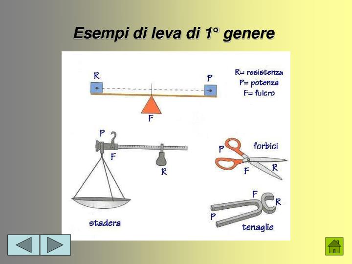 PPT - LA LEVA PowerPoint Presentation - ID:6013590