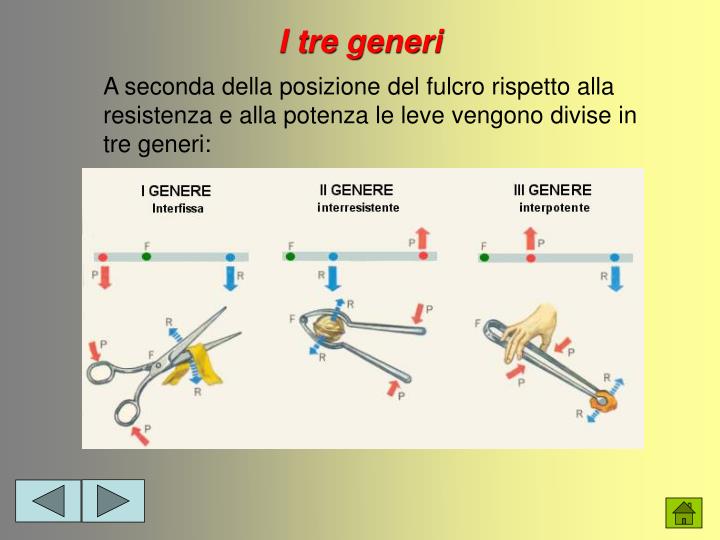 PPT - LA LEVA PowerPoint Presentation - ID:6013590