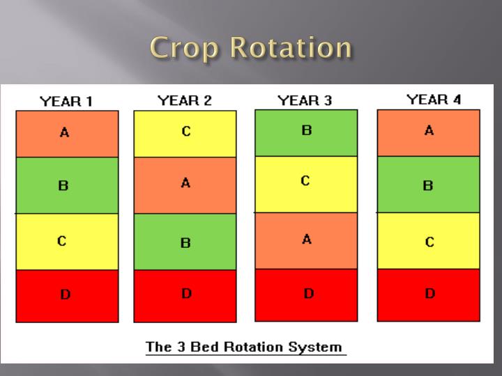 PPT - Chapter 25 The Industrial Revolution PowerPoint Presentation - ID ...