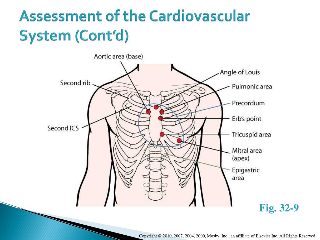 PPT - Focus on Nursing Assessment: Cardiovascular System PowerPoint ... PPT - Focus on Nursing Assessment: Cardiovascular System PowerPoint ...