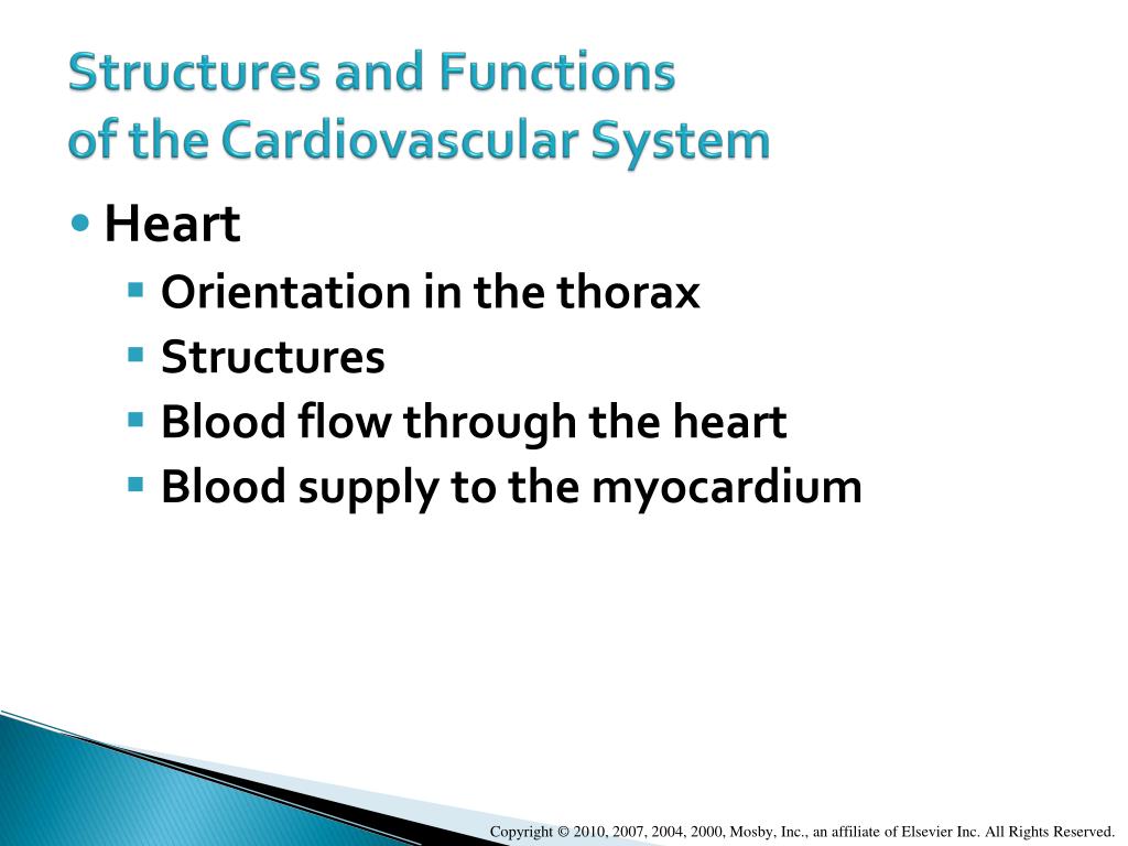 PPT - Focus on Nursing Assessment: Cardiovascular System PowerPoint ...
