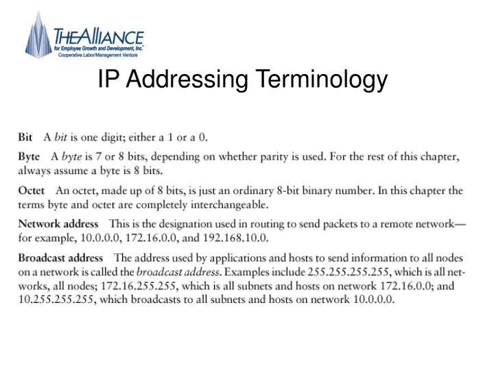 PPT - IP Addressing Terminology PowerPoint Presentation, free download ...