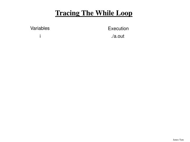 PPT - Loops In Pascal PowerPoint Presentation - ID:6016354