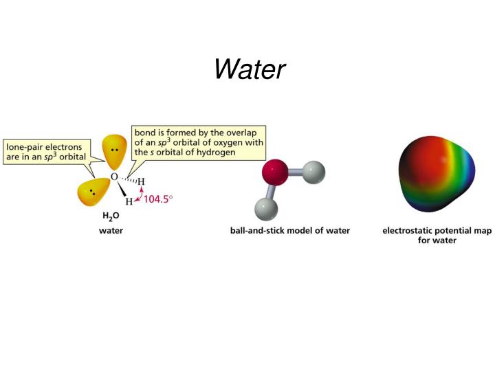 PPT - Electrostatic Potential Maps Models that visually portray ...