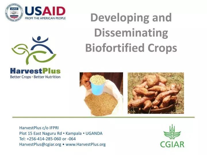 PPT - Developing and Disseminating Biofortified Crops PowerPoint ...