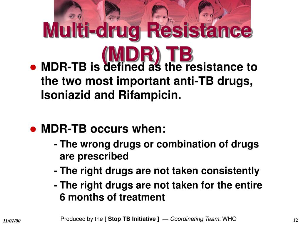PPT - World TB Day 2000 Forging New Partnerships to Stop TB PowerPoint ...