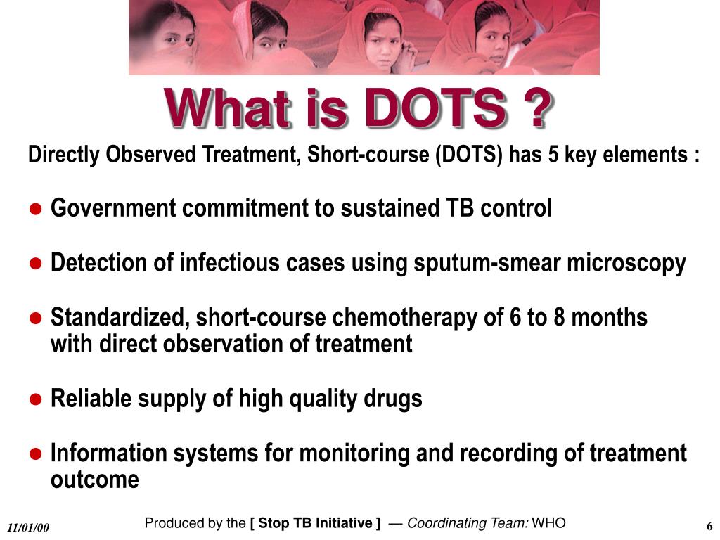 PPT - World TB Day 2000 Forging New Partnerships to Stop TB PowerPoint ...