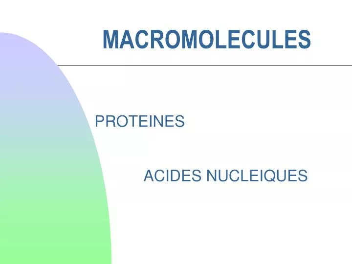 PPT - MACROMOLECULES PowerPoint Presentation, free download - ID:6018699