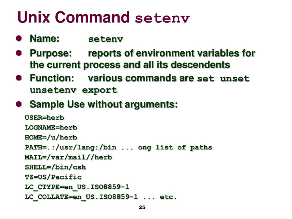 Ppt Cs 201 Computer Systems Programming Chapter 2 Argc Argv Envp System Libs