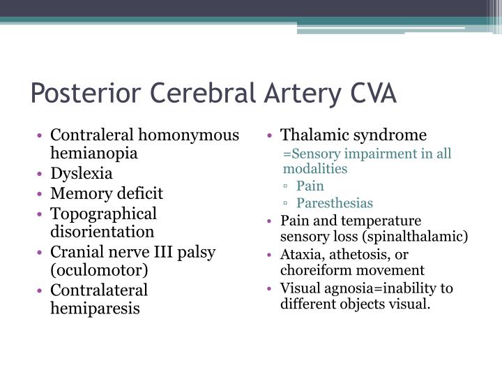 PPT - Cerebrovascular Accident (Stroke) PowerPoint Presentation - ID ...