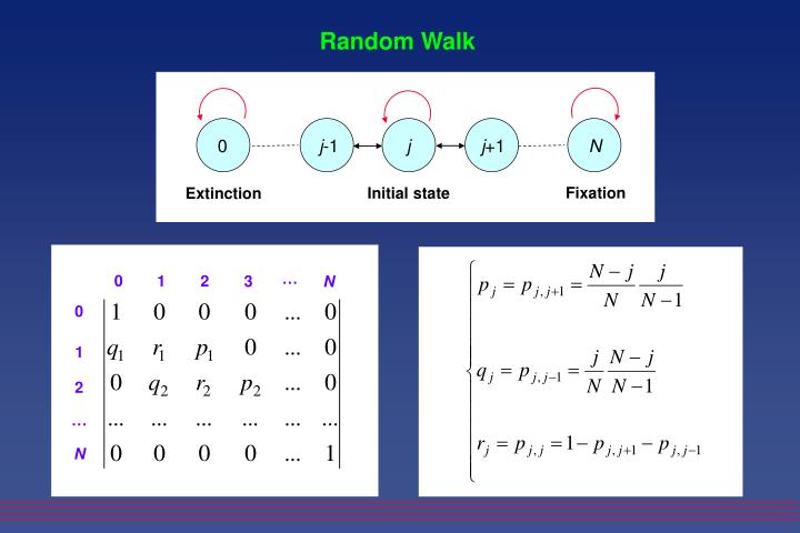 PPT - Neutral Theory: From molecular evolution to community ecology ...