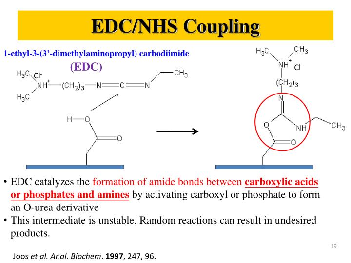PPT - Biomaterial Chemistry: Methods of Modification and Immobilization ...