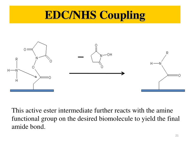 PPT - Biomaterial Chemistry: Methods of Modification and Immobilization ...