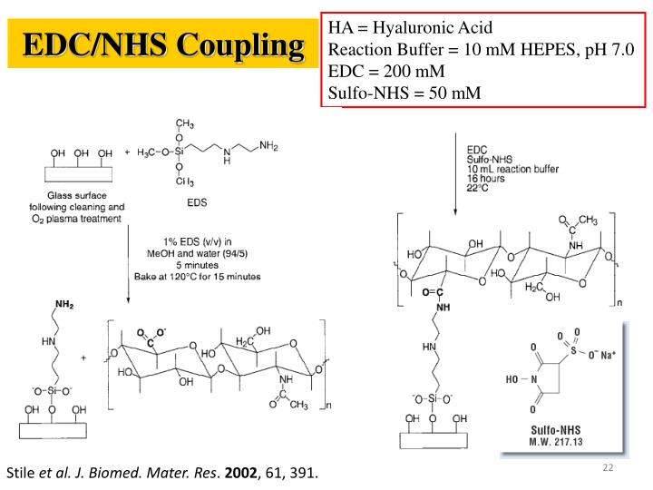 PPT - Biomaterial Chemistry: Methods of Modification and Immobilization ...