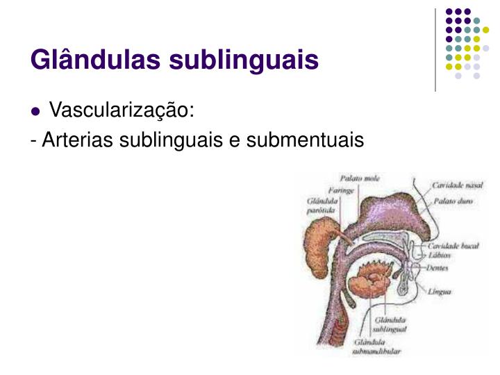 PPT - ANATOMIA Cabeça e pescoço PowerPoint Presentation - ID:6021842