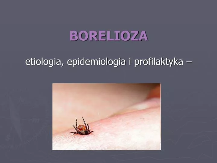 PPT - BORELIOZA PowerPoint Presentation, free download - ID:6023263