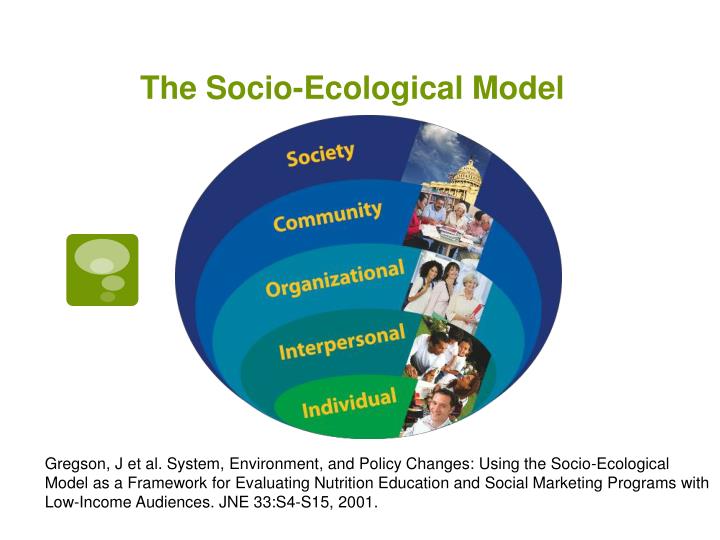 PPT - World Hunger and Food Justice PowerPoint Presentation - ID:6023420