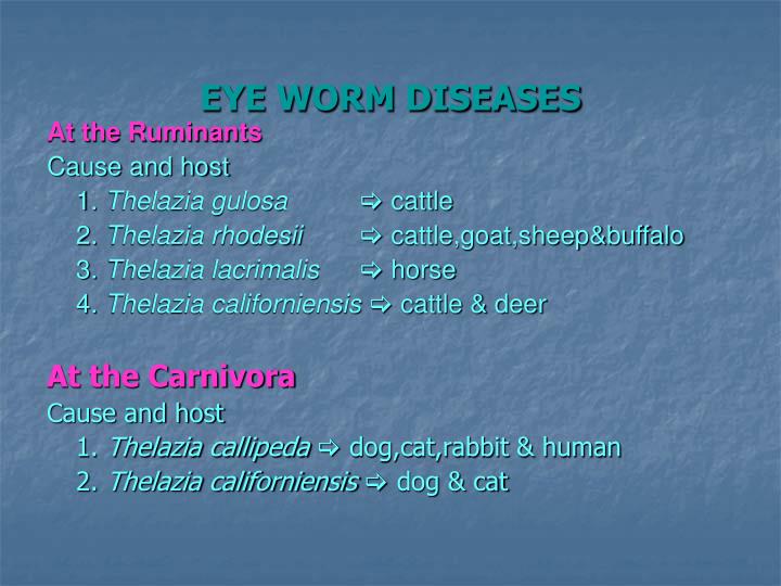 PPT - AVIAN ASCARIDIASIS PowerPoint Presentation - ID:6024781