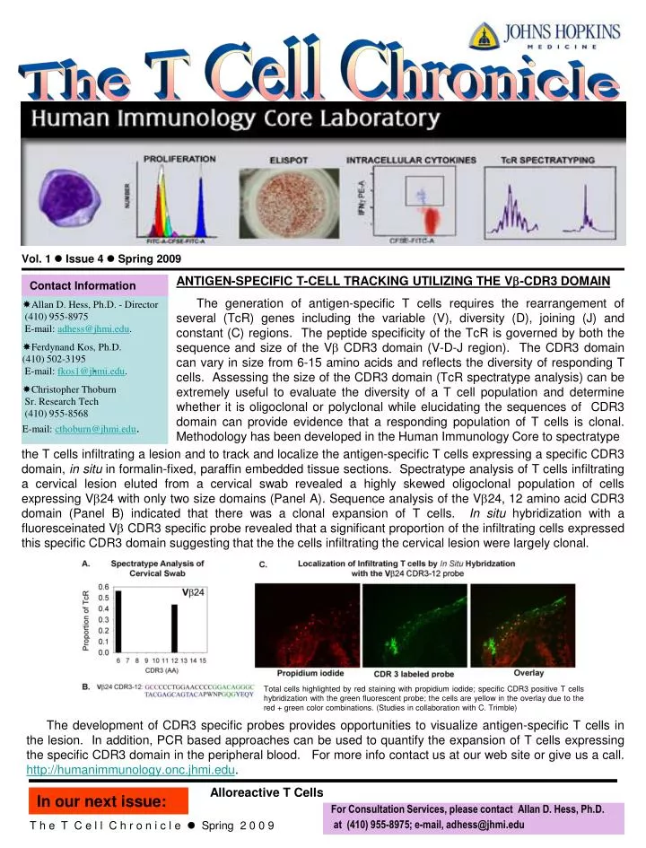 PPT - The T Cell Chronicle PowerPoint Presentation, free download - ID ...