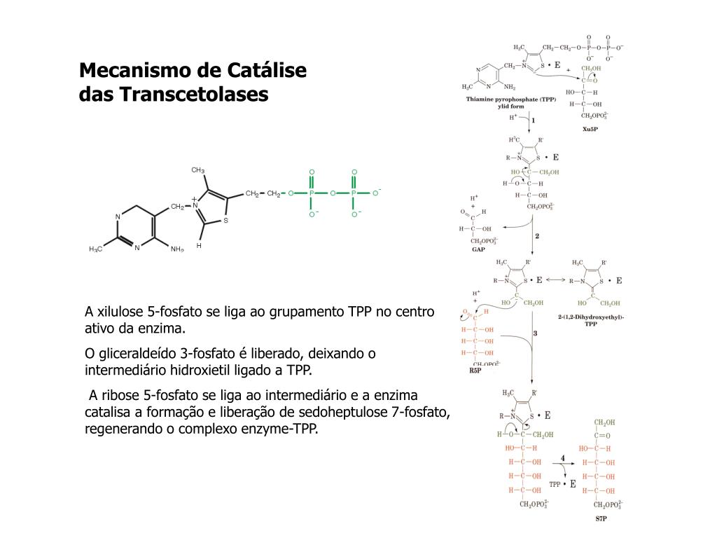 PPT - IQB201 – Bioquímica Básica I PowerPoint Presentation, free ...