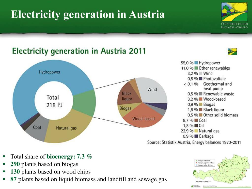 PPT - The Austrian Biomass Association Bioenergy in Austria PowerPoint ...