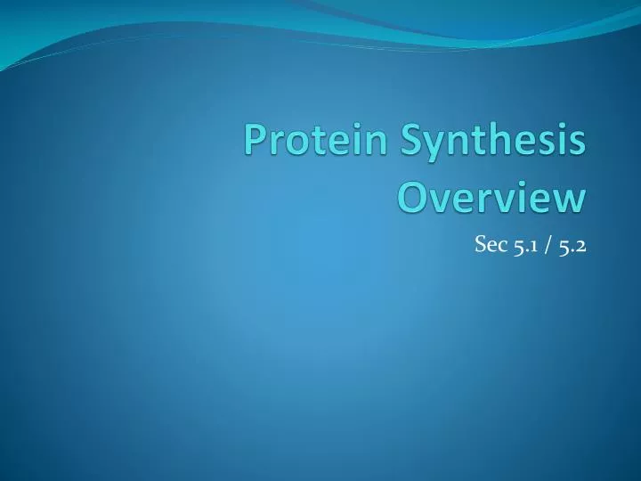 PPT - Protein Synthesis Overview PowerPoint Presentation, free download ...
