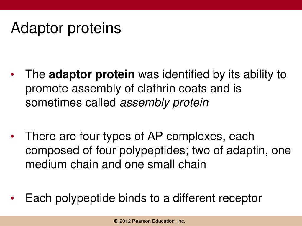 PPT - Exocytosis and endocytosis PowerPoint Presentation, free download ...