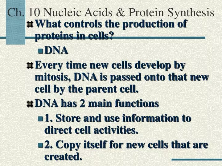 PPT - Ch. 10 Nucleic Acids & Protein Synthesis PowerPoint Presentation ...
