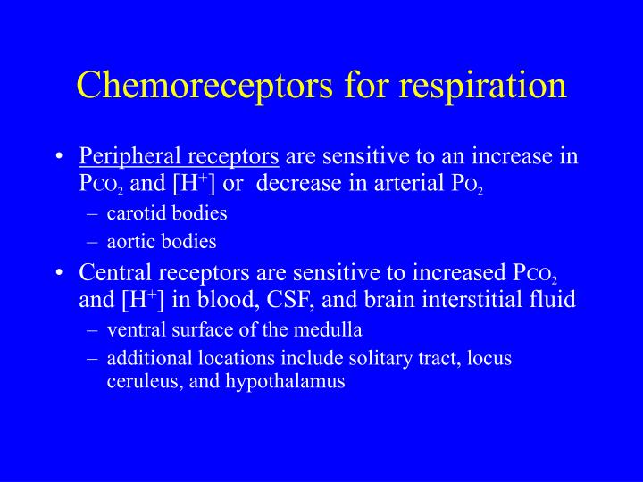 PPT - Respiratory Physiology: Control of ventilation PowerPoint ...