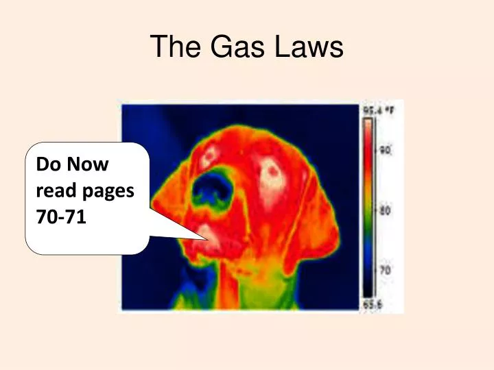 PPT - The Gas Laws PowerPoint Presentation, free download - ID:6029397