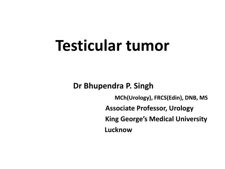 PPT - Testicular tumor PowerPoint Presentation, free download - ID:6030445