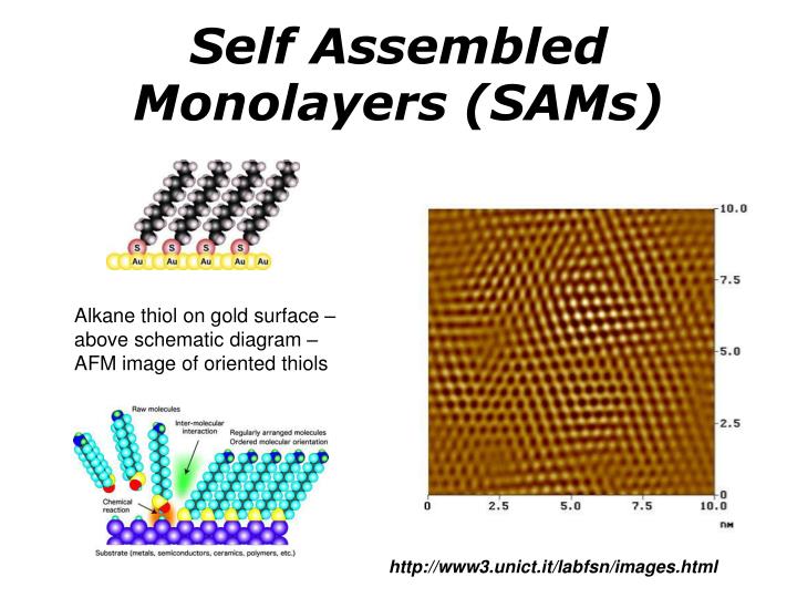 PPT - Nanostructures and Nanomaterials PowerPoint Presentation - ID:6031682