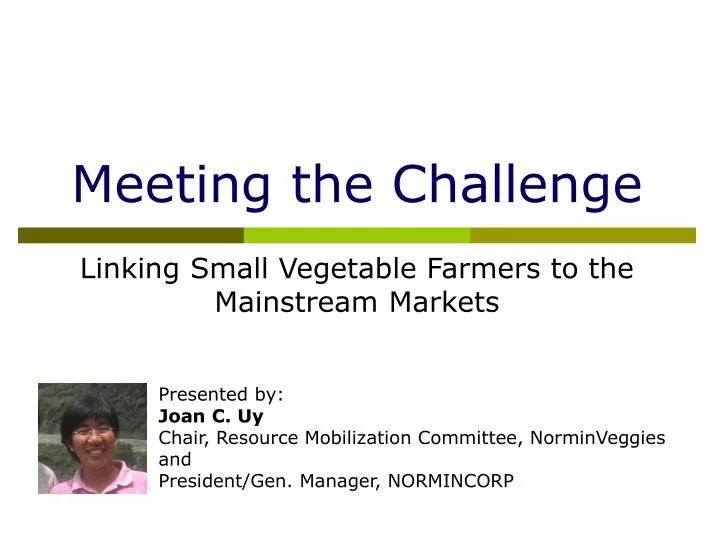 PPT - Meeting the Challenge PowerPoint Presentation, free download - ID ...