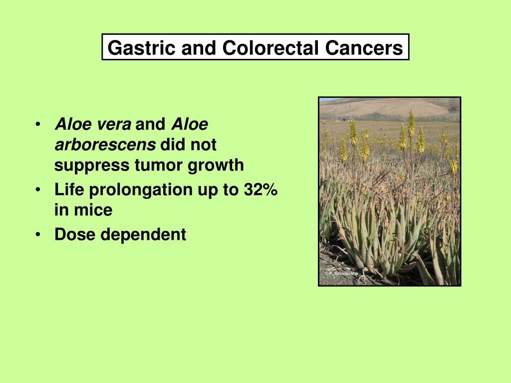 Ppt Aloe Vera Powerpoint Presentation Free Download Id 6032754